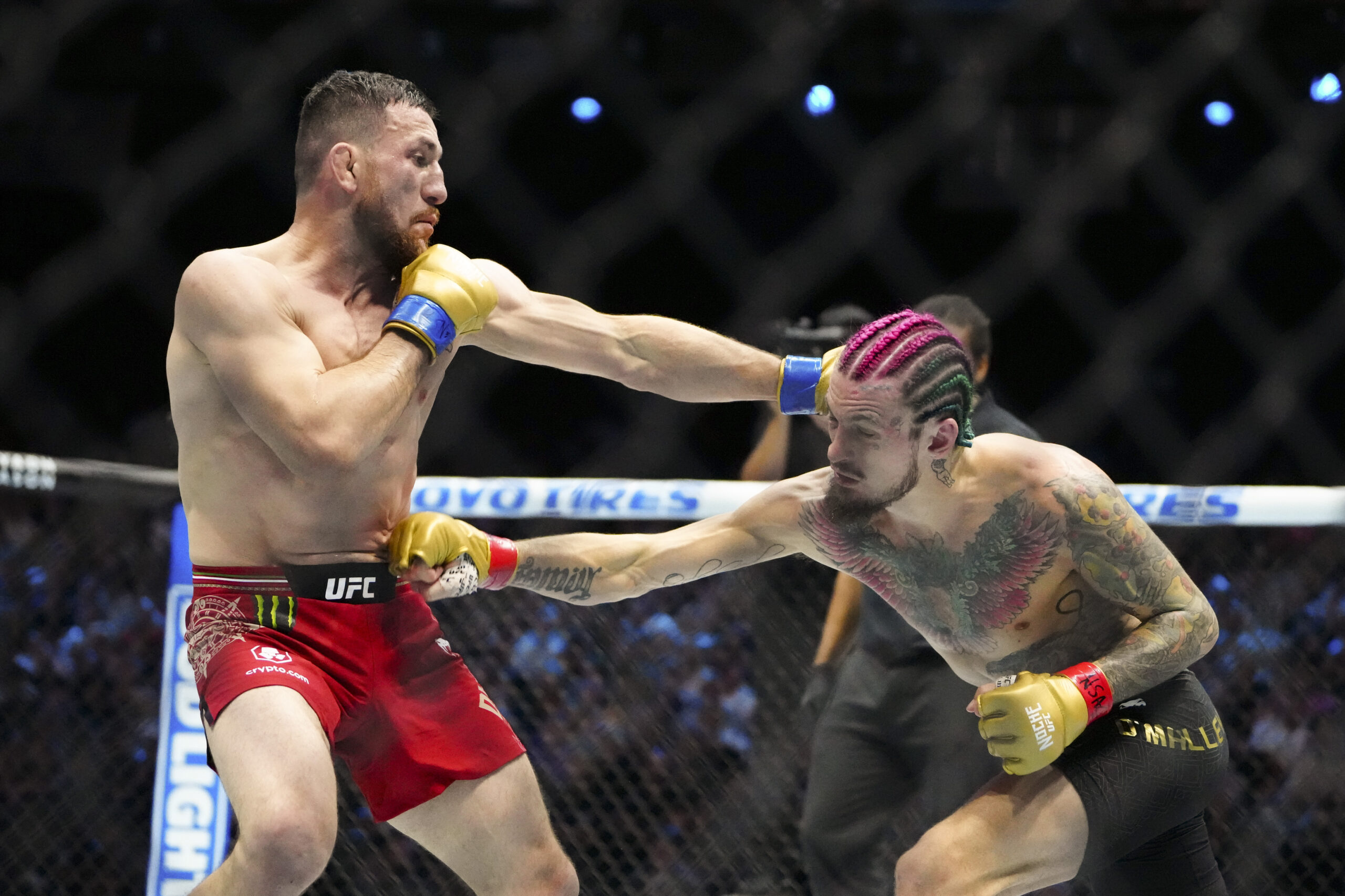 UFC 316 Main Event Preview and Prediction: Merab Dvalishvili - Sean O ...